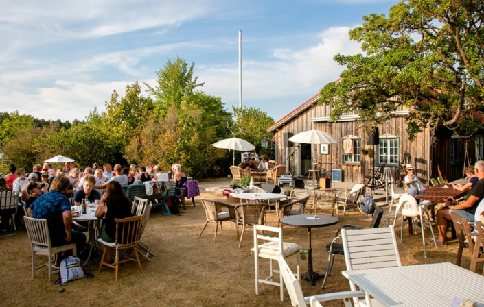 Tofta Camping - Havsnära camping och stugor på Gotland